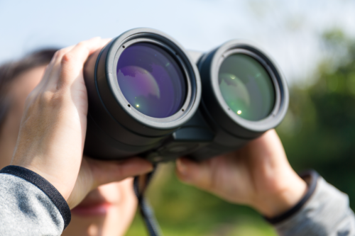 The 7 Best Binoculars for African Safaris - Adventure Travel Advisor