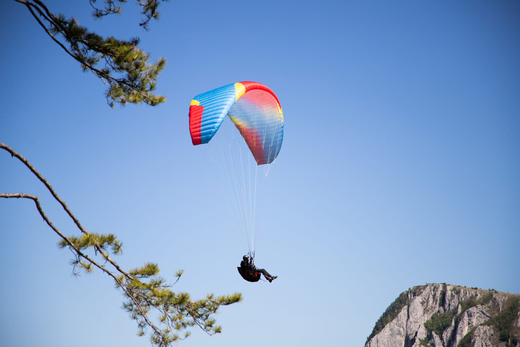 Ride the Skies: A Guide to Paragliding in Switzerland - Adventure ...